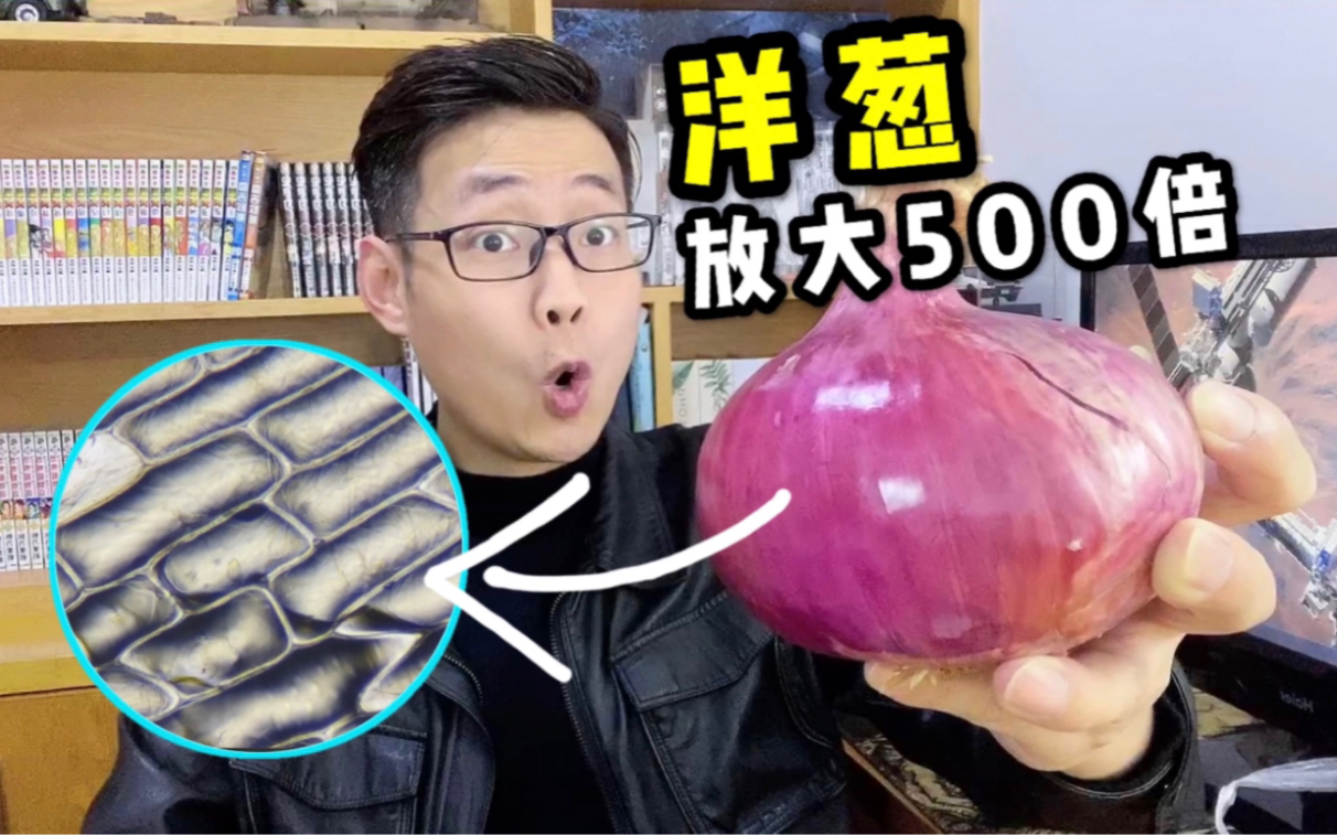 把洋葱放大500倍,能看见无数冰砖堆在一起!小伙看完含泪吃了…