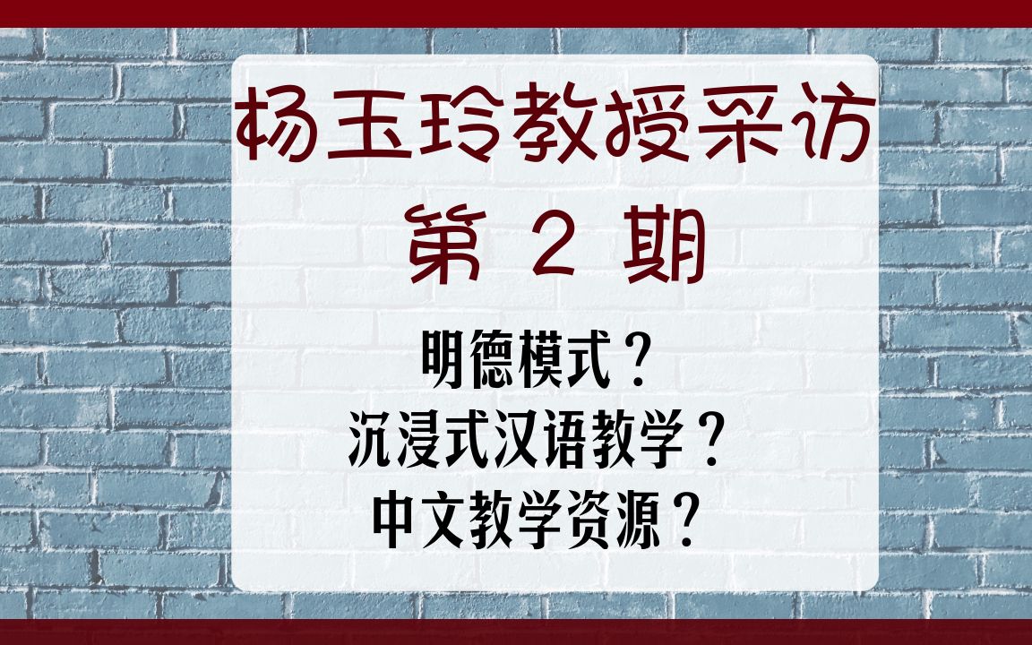 对外汉语 | 沉浸式教学不现实?适用大纲的教学资源网?北语杨教授采访 ...