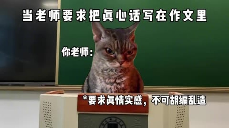 真心话作文演绎沙雕场景搞笑真实还原