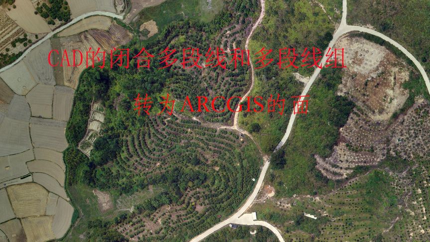 CAD的多段线和多段线组成的组转为ARCGIS的面