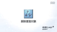 CAD教程:删除重复对象