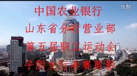 中国农业银行山东省分行营业部第五届职工运动会平阴支行参赛剪影