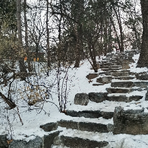 鶗鴃又报芳菲歇 