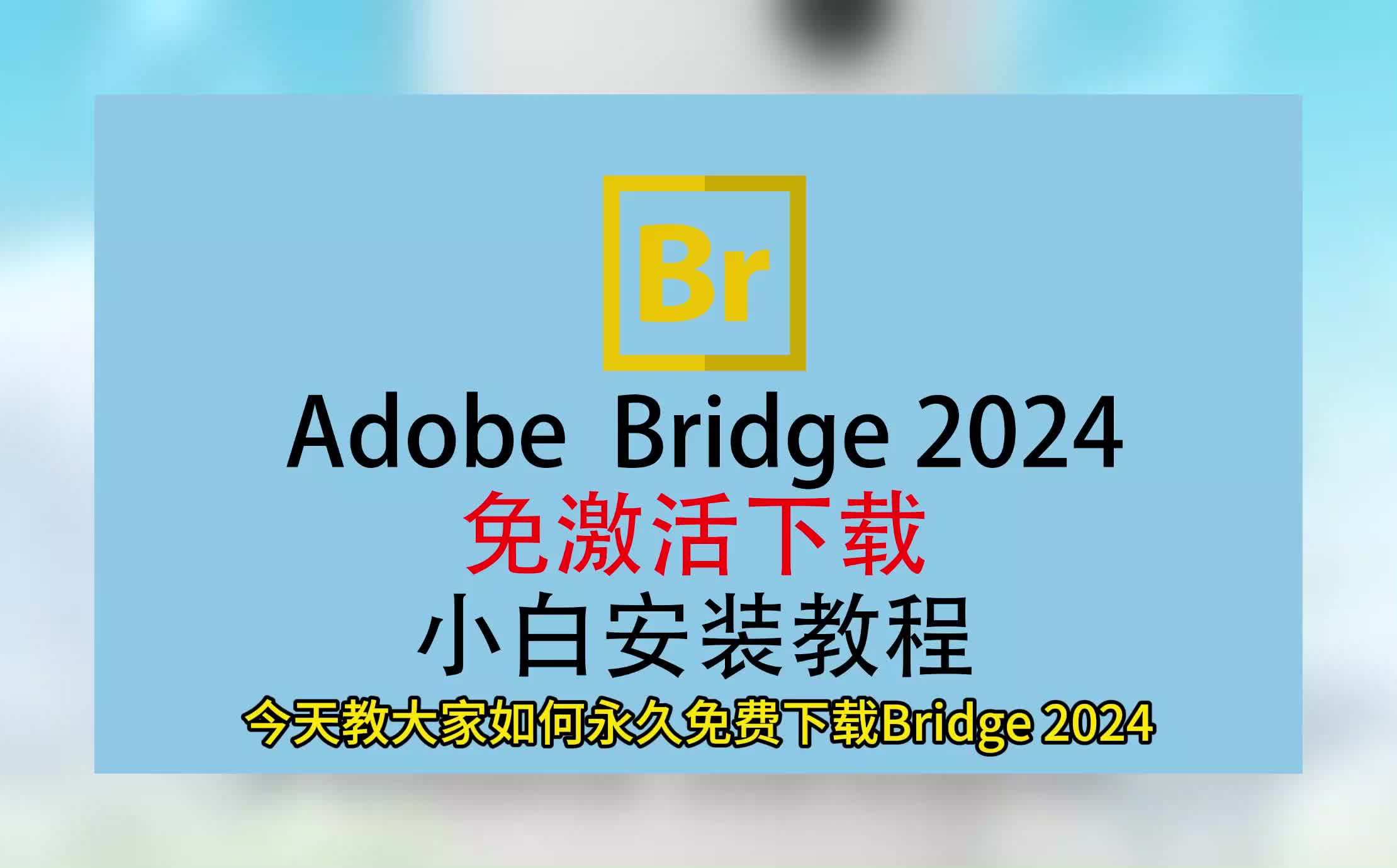 Bridge2024下载,Adobe Bridge软件下载免费版,BR软件下载免费版