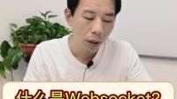 软件测试:什么是websocket?