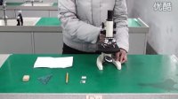 用显微镜观察人的口腔上皮细胞永久装片并绘图