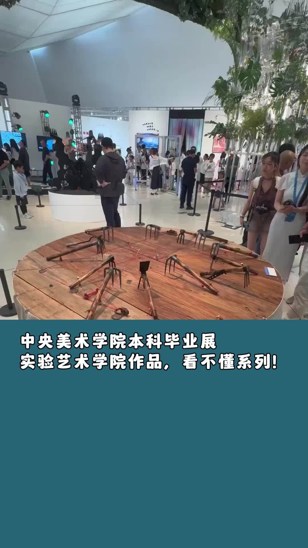 中央美术学院本科毕业展,实验艺术学院作品,看不懂系列!