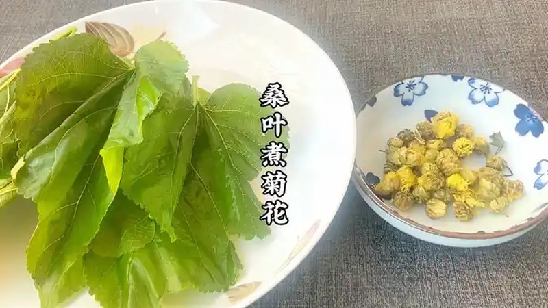 霜降后的桑叶搭配菊花煮,想不到那么好的作用,对糖友们特别友好