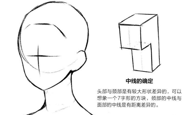 漫画人物人体结构基础教程之头颈肩的讲解|动漫人物设计教程|动画...