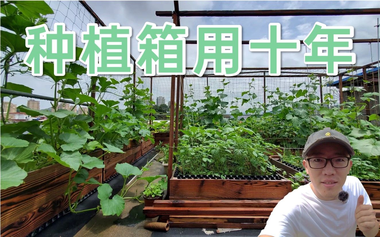 70平屋顶菜园木制种植箱制作思路,透气透水美观耐用