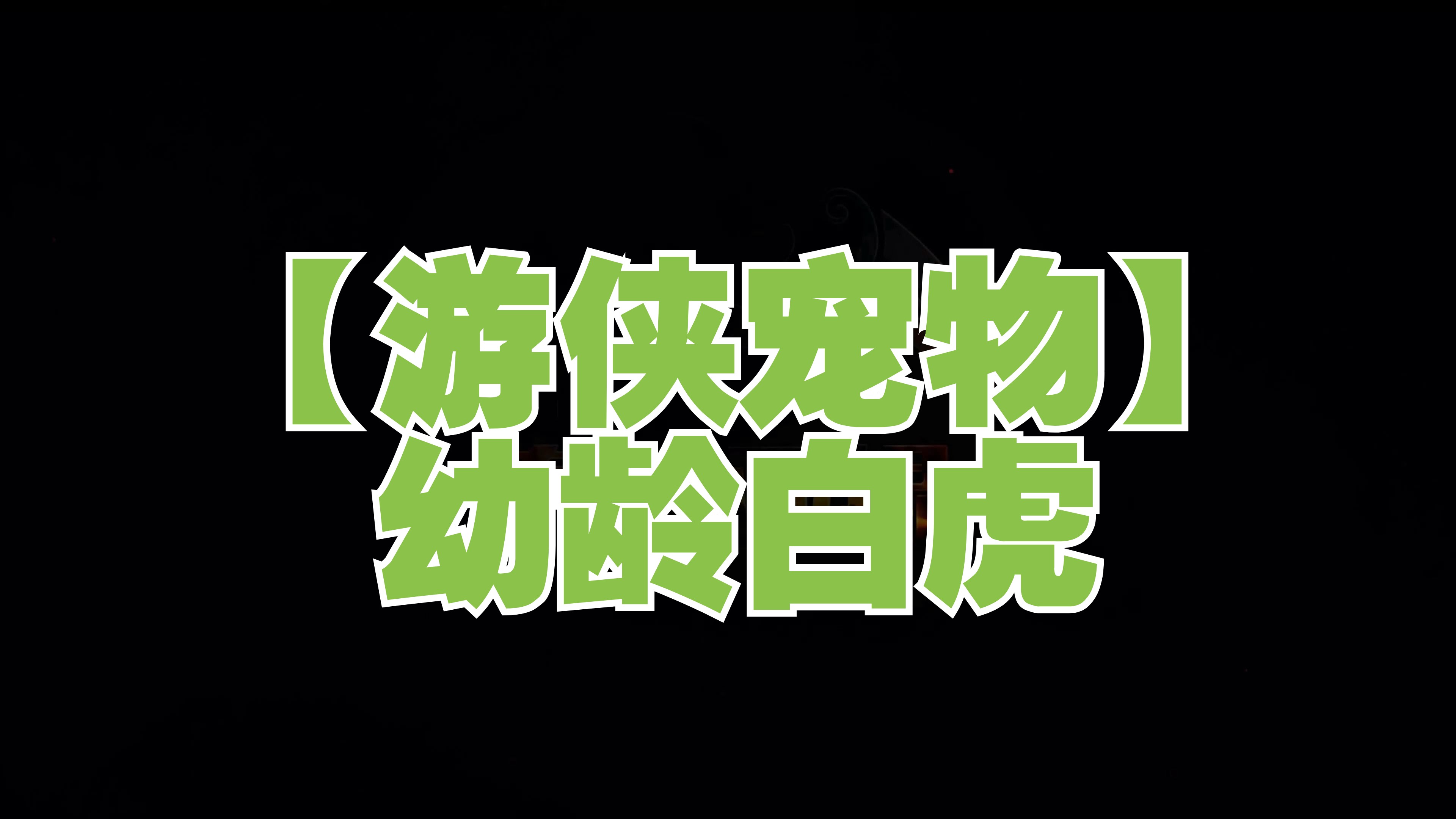 激战2金昆【游侠宠物】幼龄白虎_哔哩哔哩bilibili_激战2_第一视角