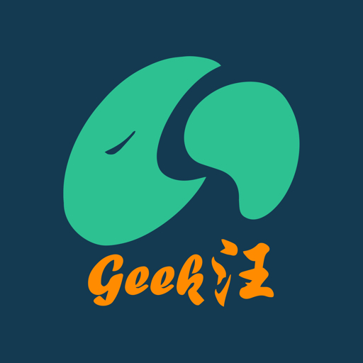Geek汪 