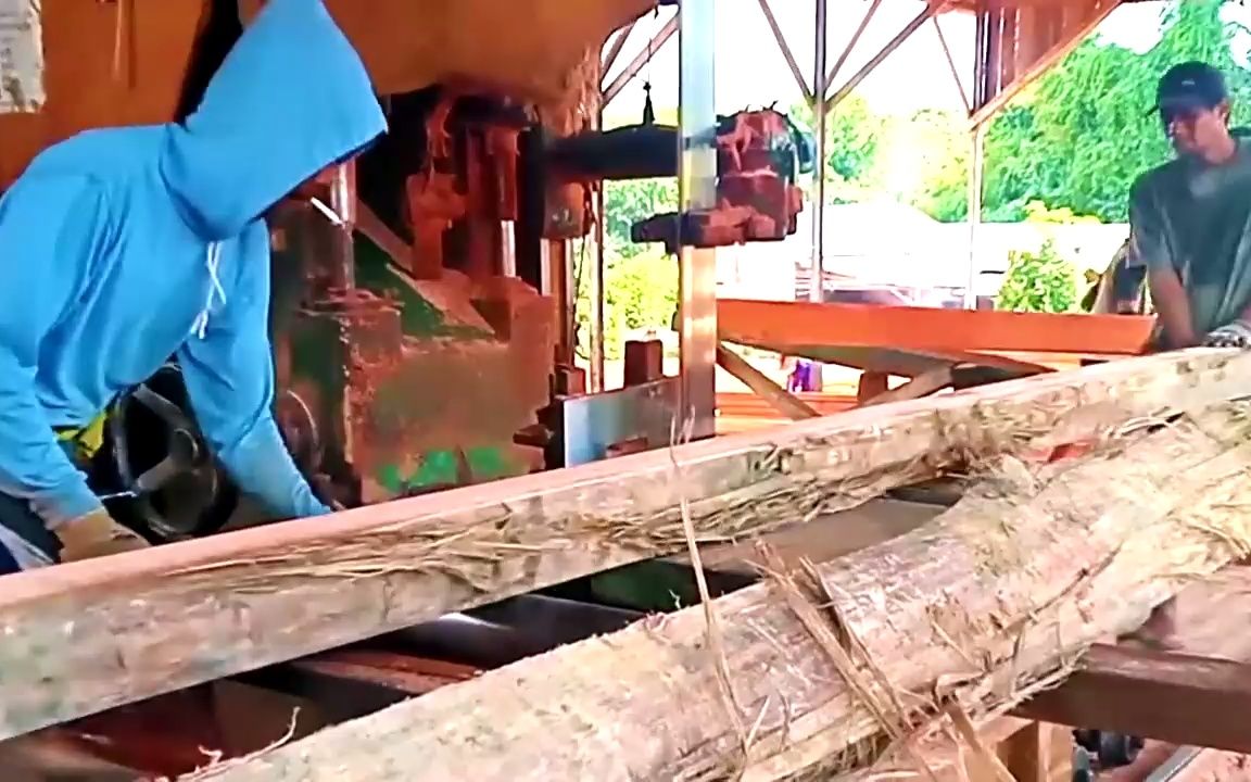 切割一棵800公斤的红杉木,看见木芯当场大笑,这下老板可赚飞了