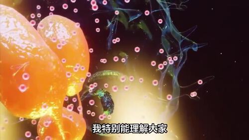 别把身体警报当常态!中性粒细胞偏低可能悄悄侵蚀健康