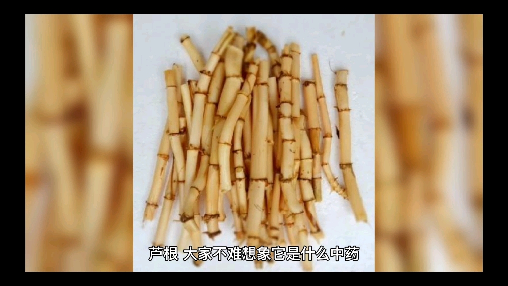 芦根～清热泻火,生津止渴,除烦,止呕,利尿!你不来了解下吗?