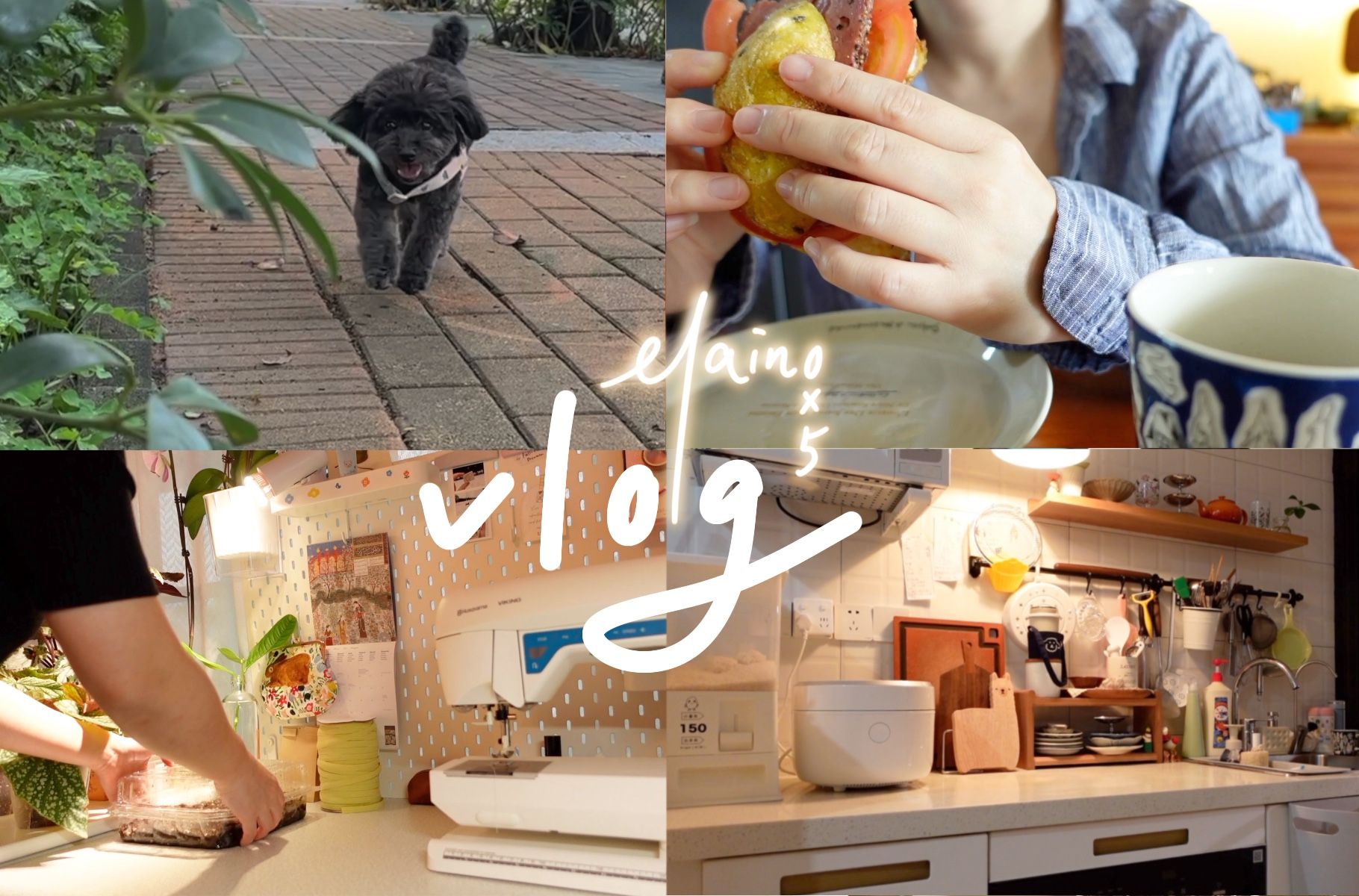 VLOG 下班后到上班前 连阴雨中低能量i人充电日常 缝纫台setup 迟来...