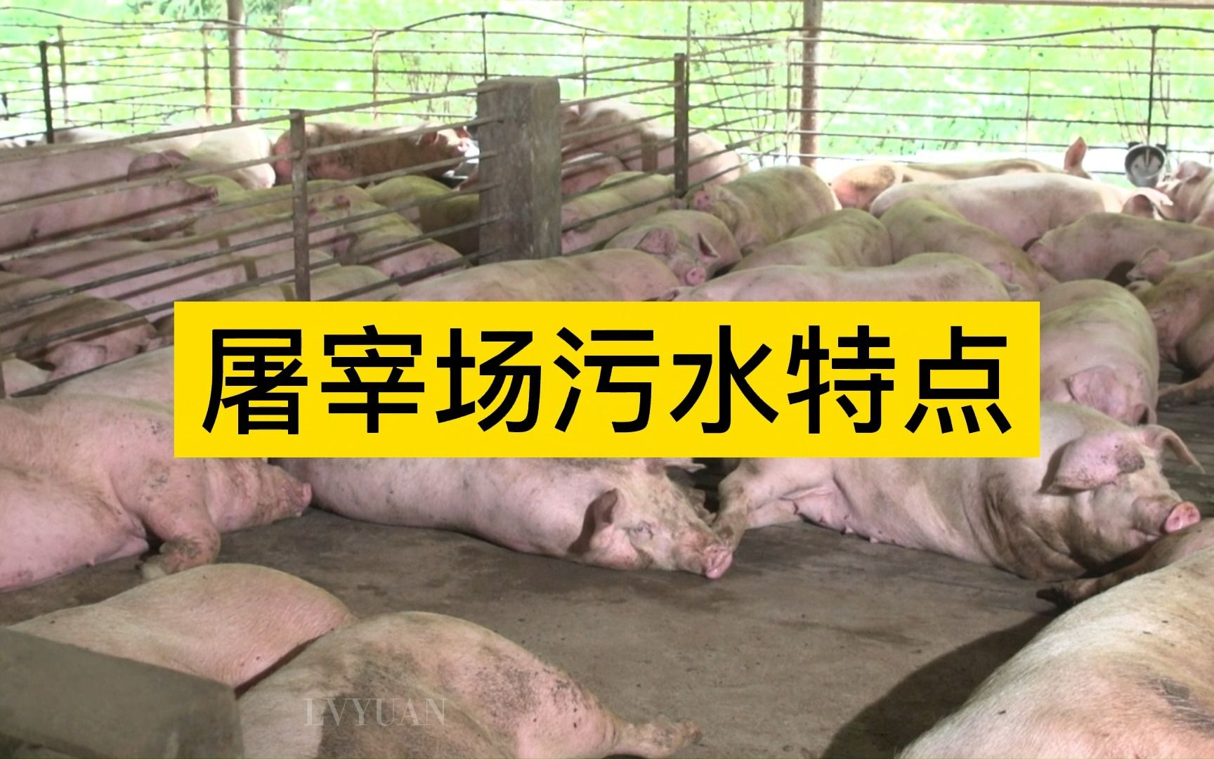 屠宰场污水特点-屠宰场污水处理工艺说明-广州绿缘环境技术有限公司-...