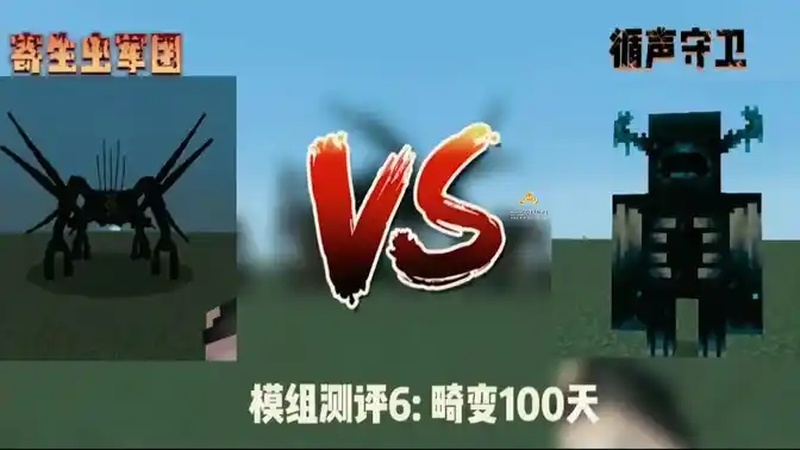 模组测评6 畸变100天