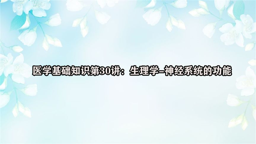 医学基础知识第30讲:生理学-神经系统的功能