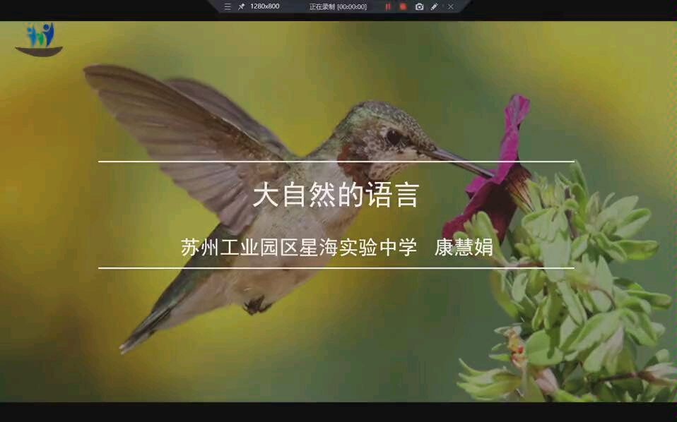 八下语文大自然的语言
