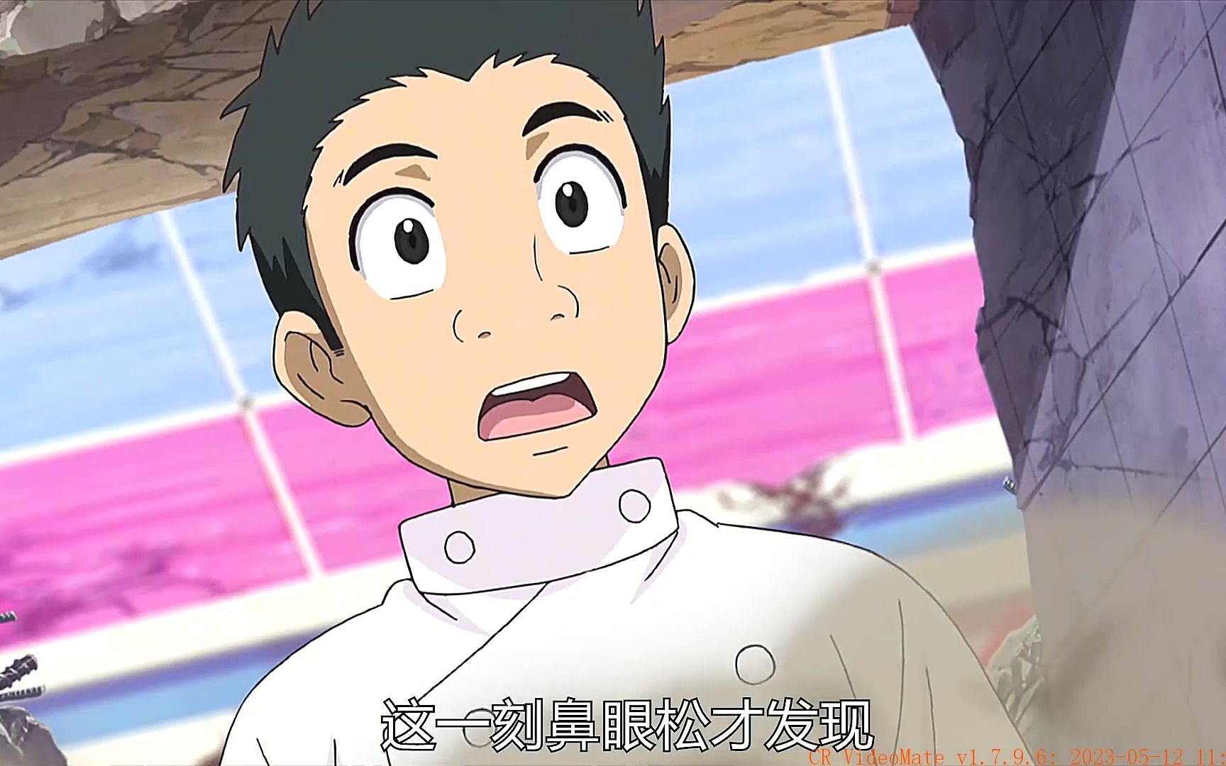 厨师们的使命!#动漫解说 #童年回忆 #日漫 #二次元 #童年动画