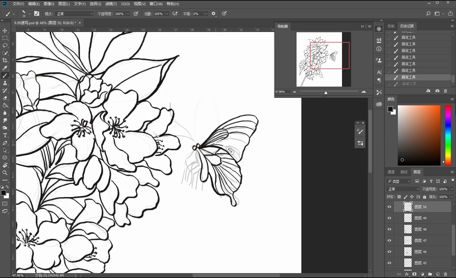 【PS插画】一组植物线稿合集,最近沉迷于画线画线