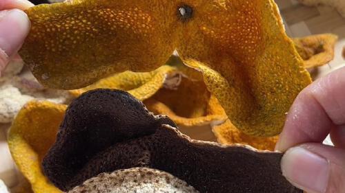 陈皮泡水喝,脾胃好了血脂降了!这些神奇功效医生都说好