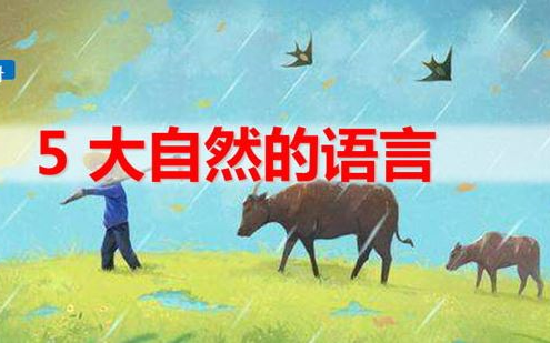 【课件】《大自然的语言-竺可桢》部编人教版八年级语文下册YW08B-...