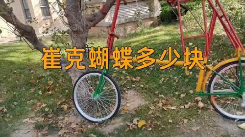 天价自行车揭秘:崔克蝴蝶背后的千万级收藏之谜