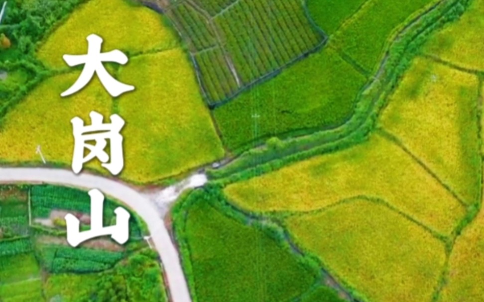 ❤️大疆 mini3 pro不带屏 首飞体验 画质流畅程度 你看便知