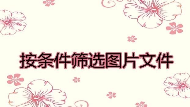 根据指定的条件去文件夹中批量筛选图片文件