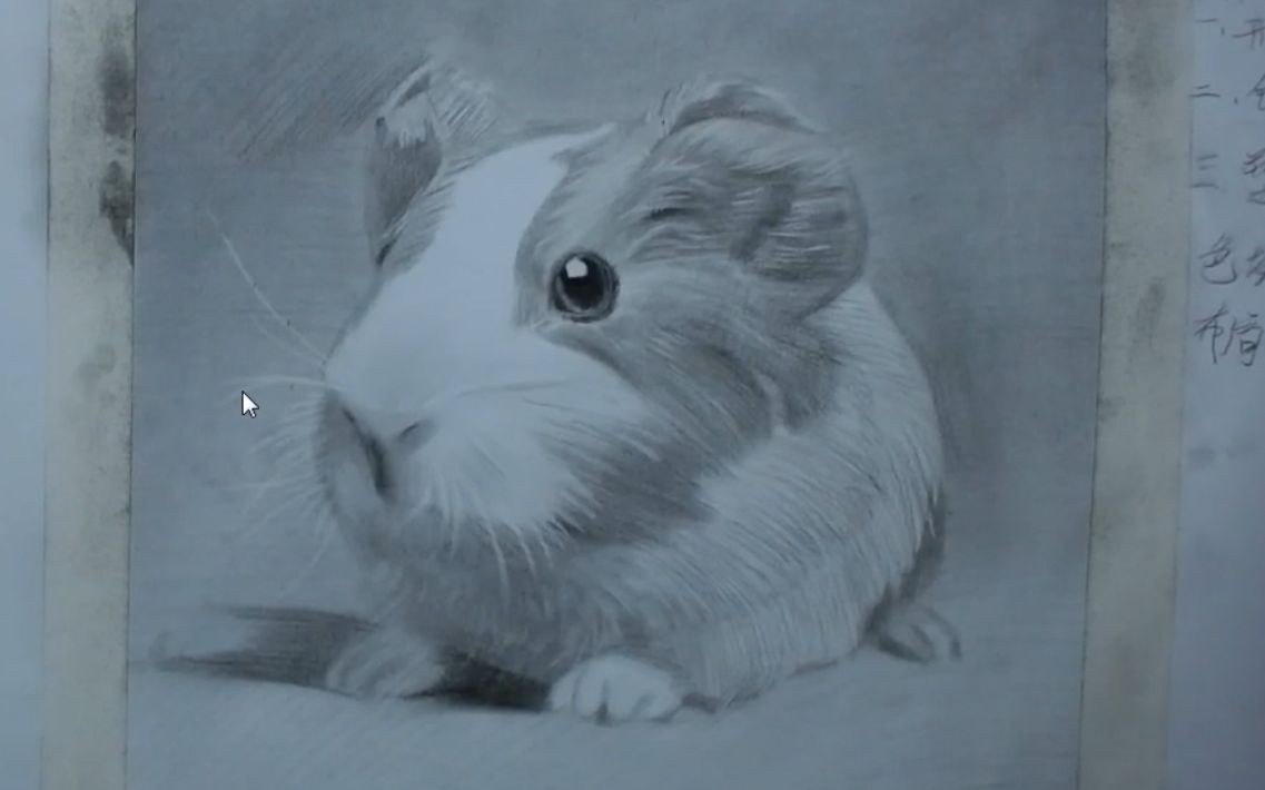 素描动物的画法,动物毛发质感的表现形式。