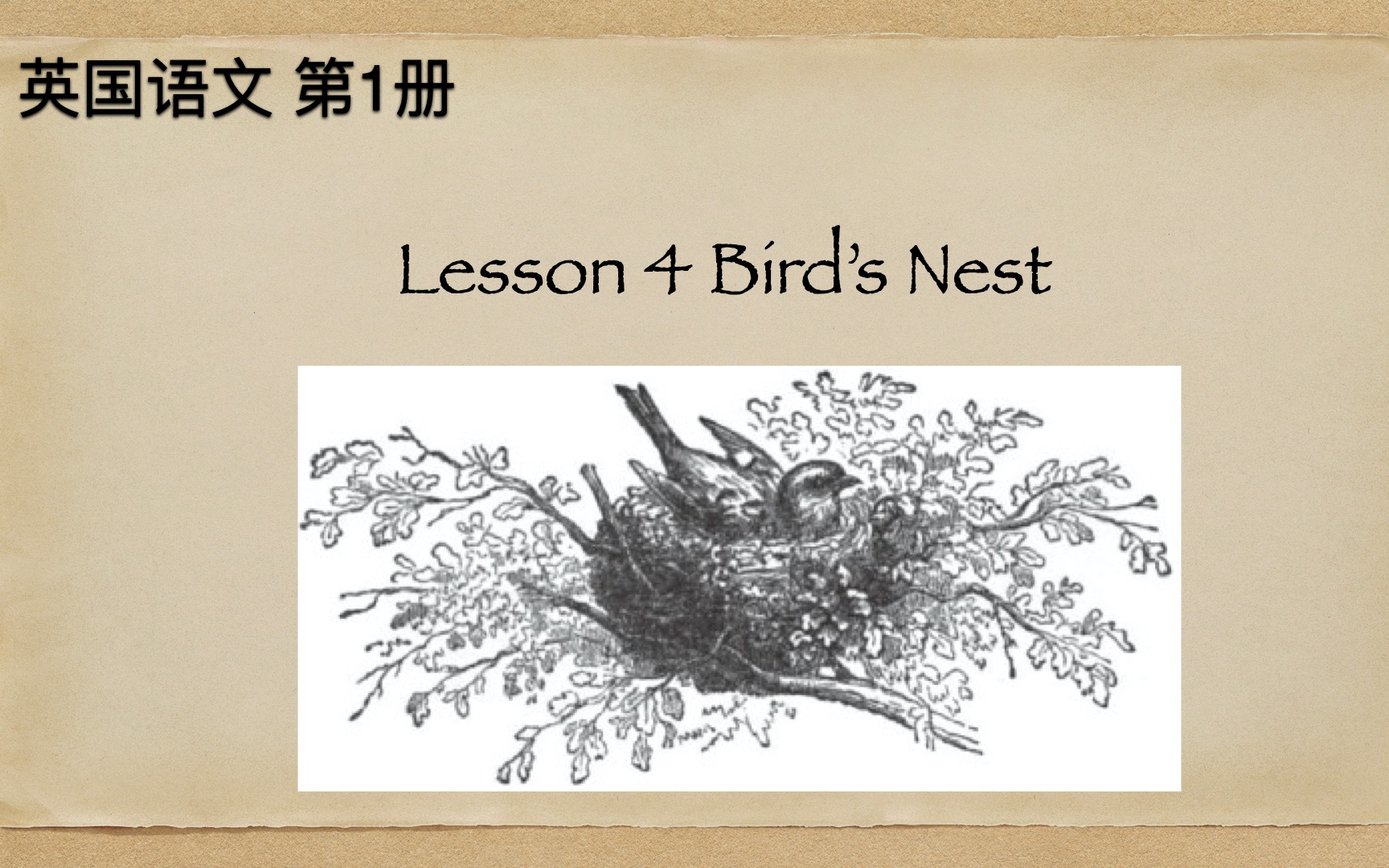 英国语文第1级-第4课-Bird's Nest