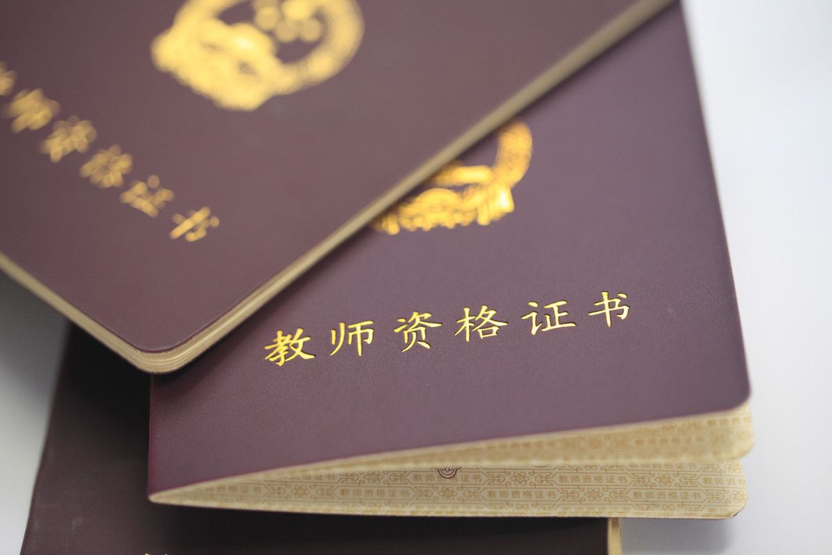 理论精讲-义务教育课程标准(2022版) 节选