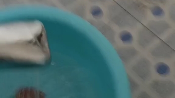 6kw新飞即热式电热水器,挺好用的!