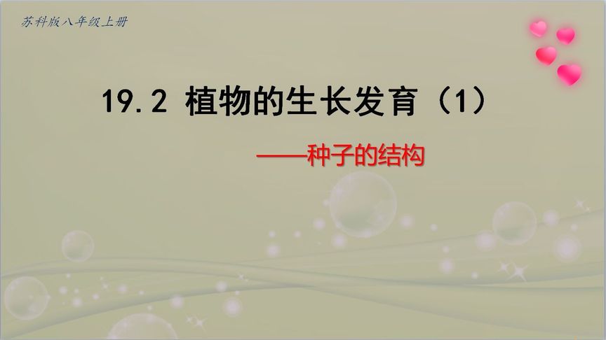 八年级生物新课——19.2植物的生长发育(1)种子的结构