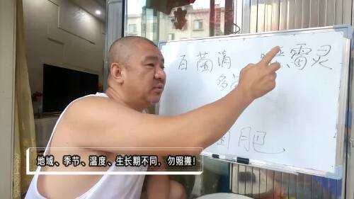常用杀菌剂如"多菌灵"能不能与"菌肥"混用?为什么?