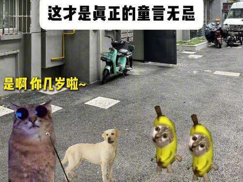 人类语言竟能如此治愈!揭秘5种温暖表达方式,瞬间融化你的心