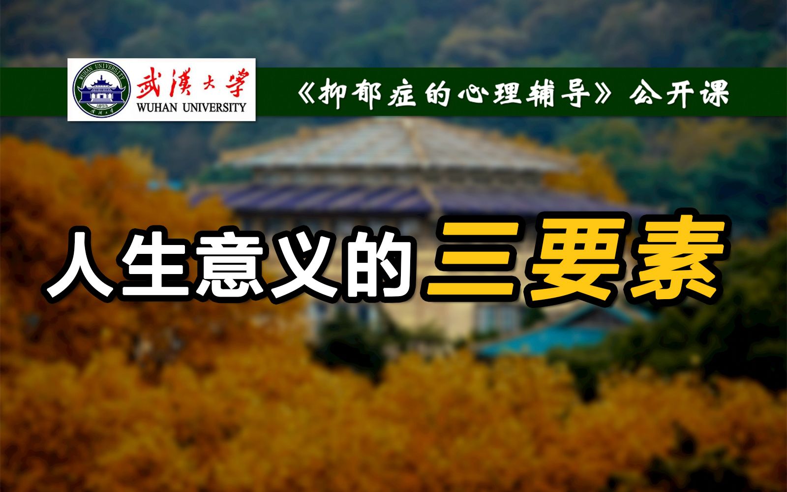 【公开课】 人生意义的三要素理论模型 |抑郁症的心理辅导5.4.2