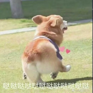 代码为医生的刺客 