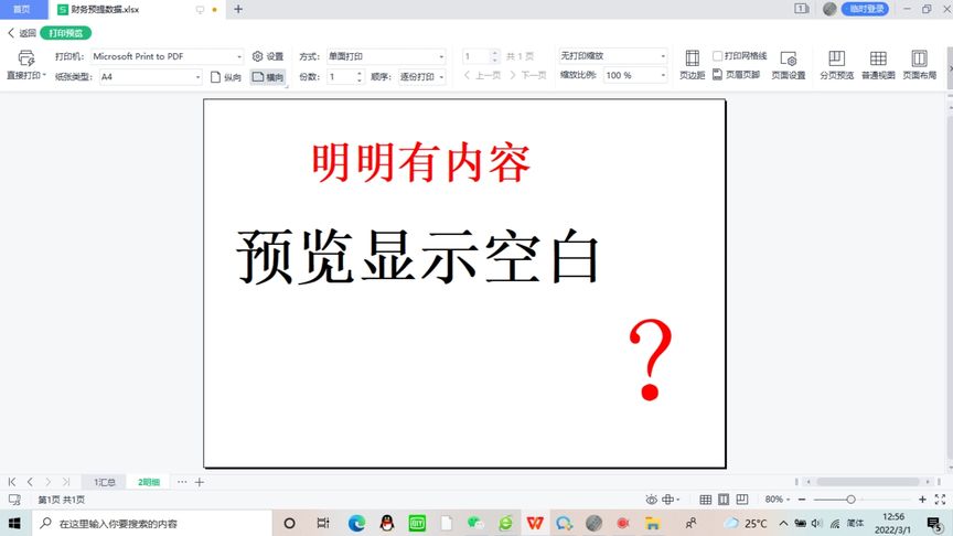WPS打印预览显示空白 excel表格打印空白无内容xlsx无法查看预览