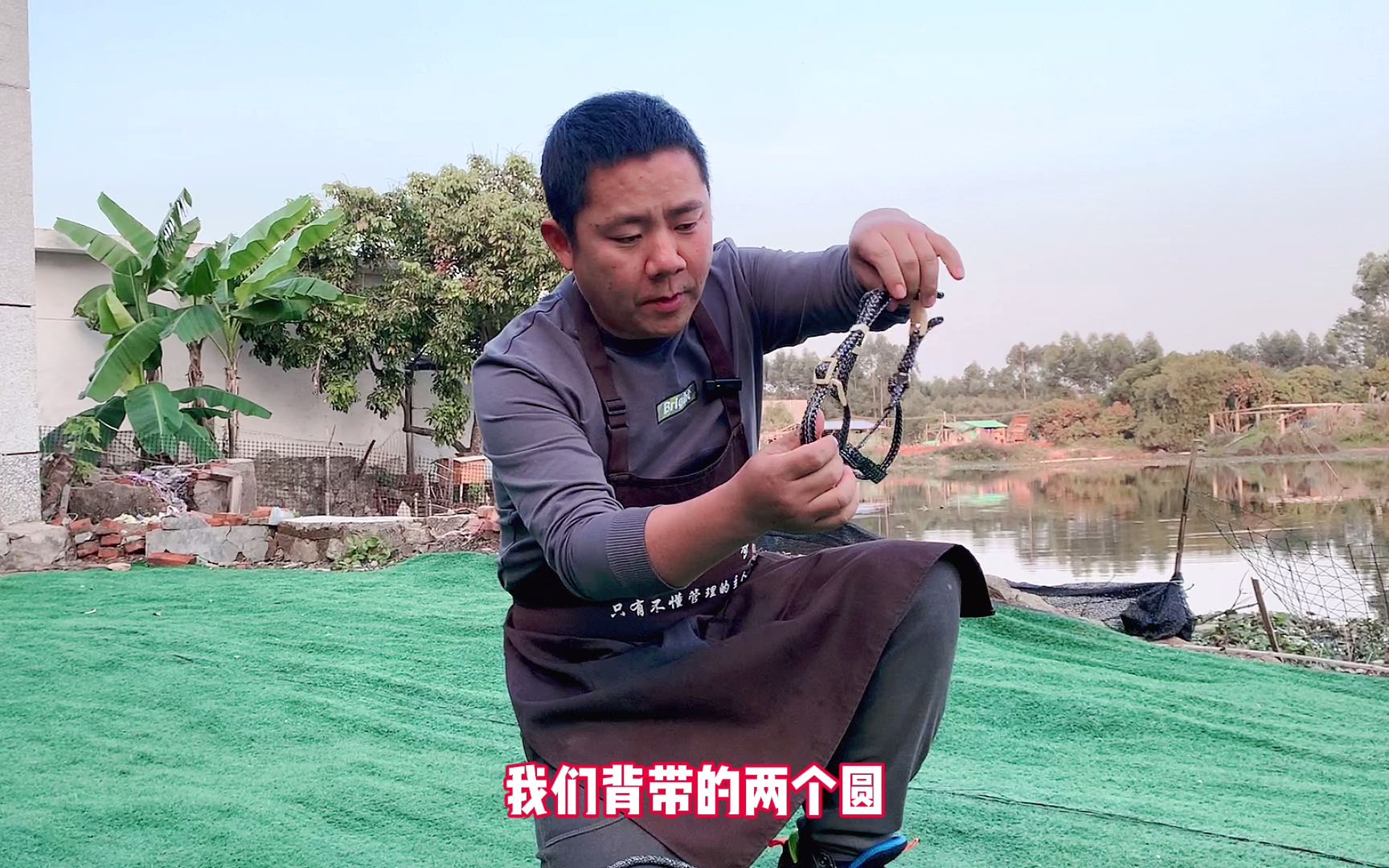 狗狗胸背牵引绳不会套?看这里,训犬师教你如何正确使用胸背带