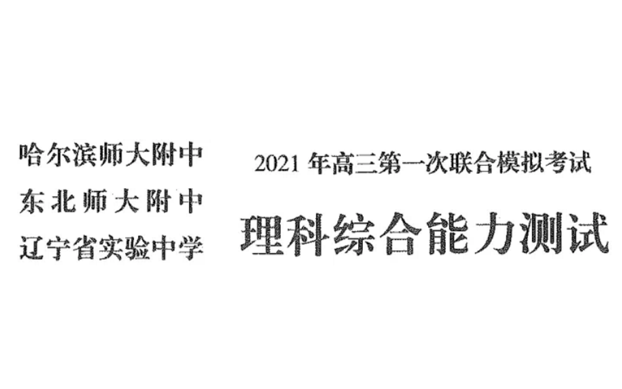 ...附中】【辽宁省实验中学】2021年高三第一次联合模拟考试【物理】