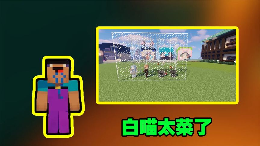 我的世界:获取铁毡污垢,白喵出征变坟头