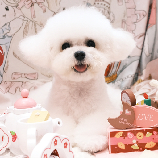 咖啡糖一样甜的杨梅 