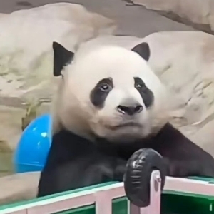 这个feelbeeer爽 