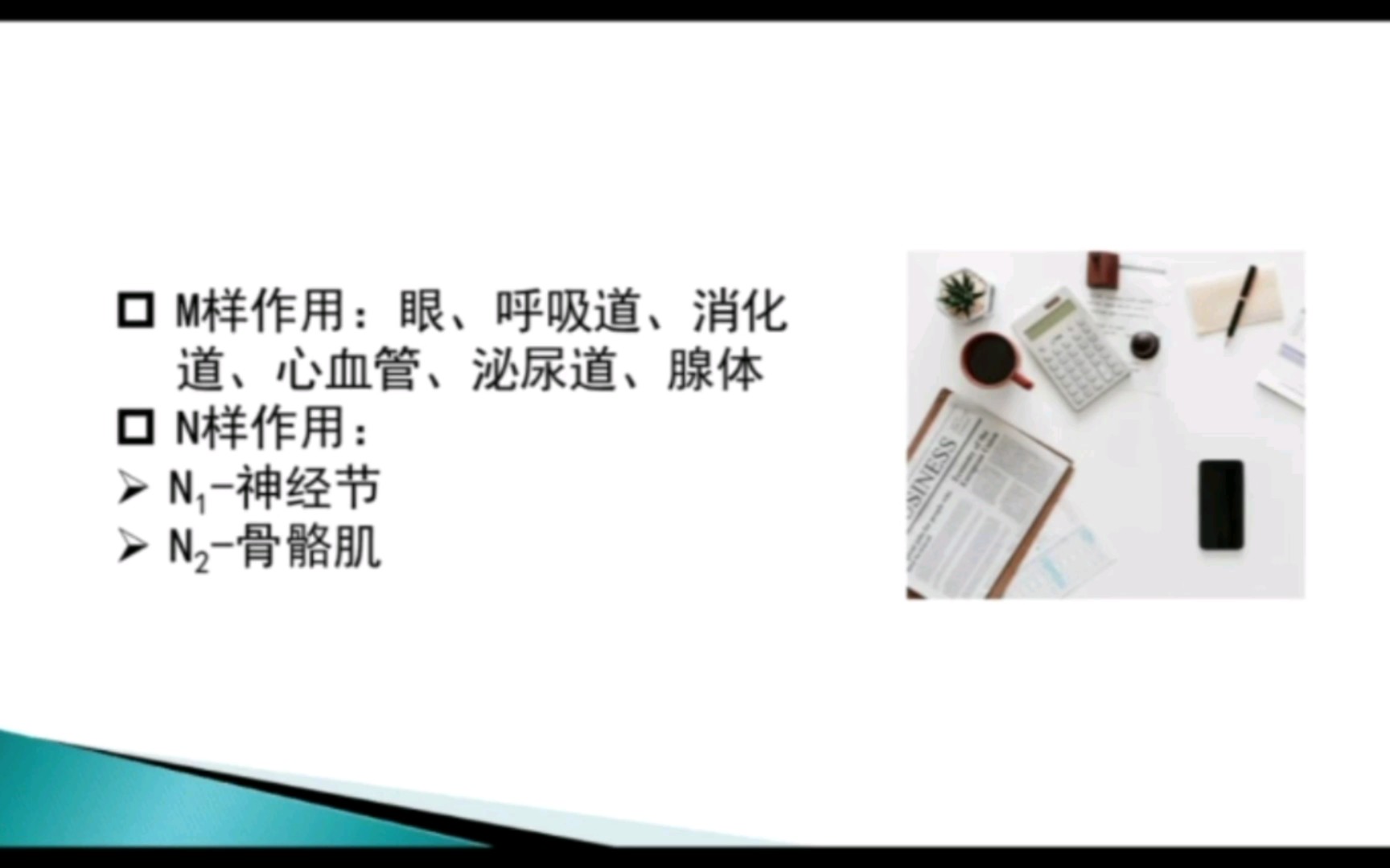 校园学习生物受体