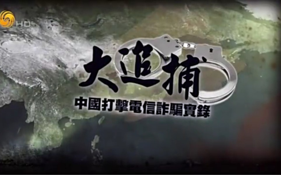 《大追捕:中国打击电信诈骗实录》