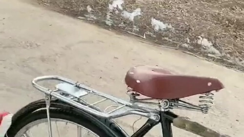 82年一辆永久牌自行车!