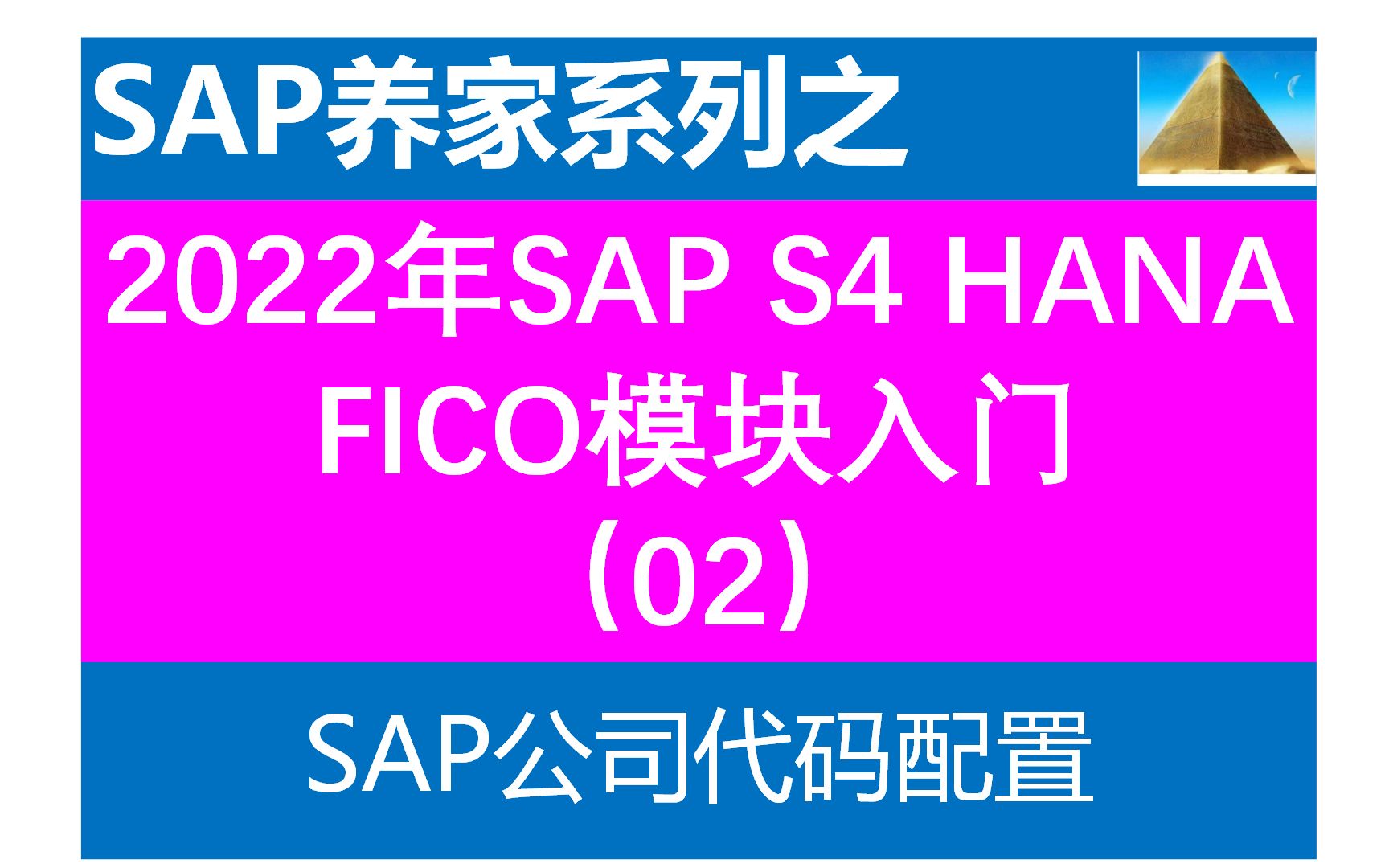 ...配置 SAP FICO SAP ABAP SAP MM SAP入门 SAP学习 SAP顾问